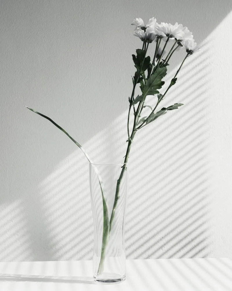 How to Start Eating Disorder Recovery: 10-Step Guide